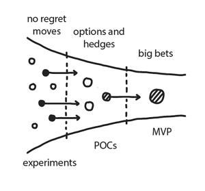 Management Transformation Patterns: The 'Curse of Plenty'