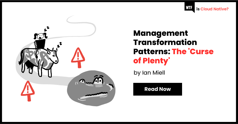 Management Transformation Patterns: The 'Curse of Plenty'